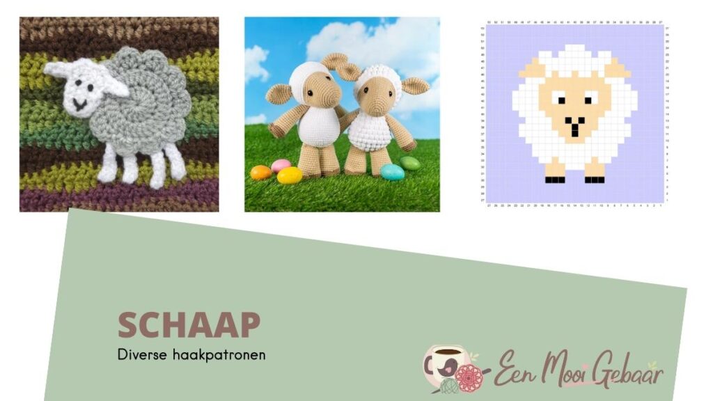 Schaap | Een Mooi Gebaar