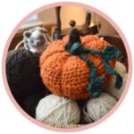 Mini Pompoen Mannetje | Een Mooi Gebaar