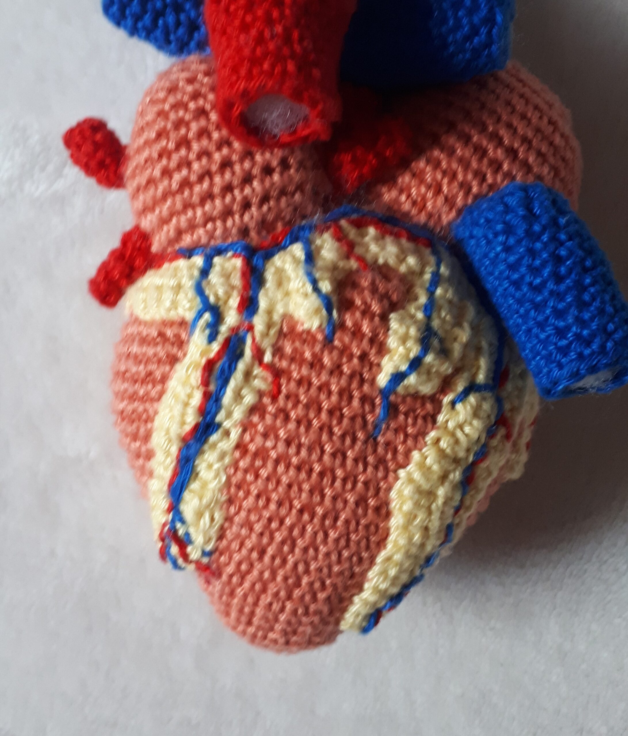 Anatomisch Hart Haken | Gratis Haakpatroon | Een Mooi Gebaar