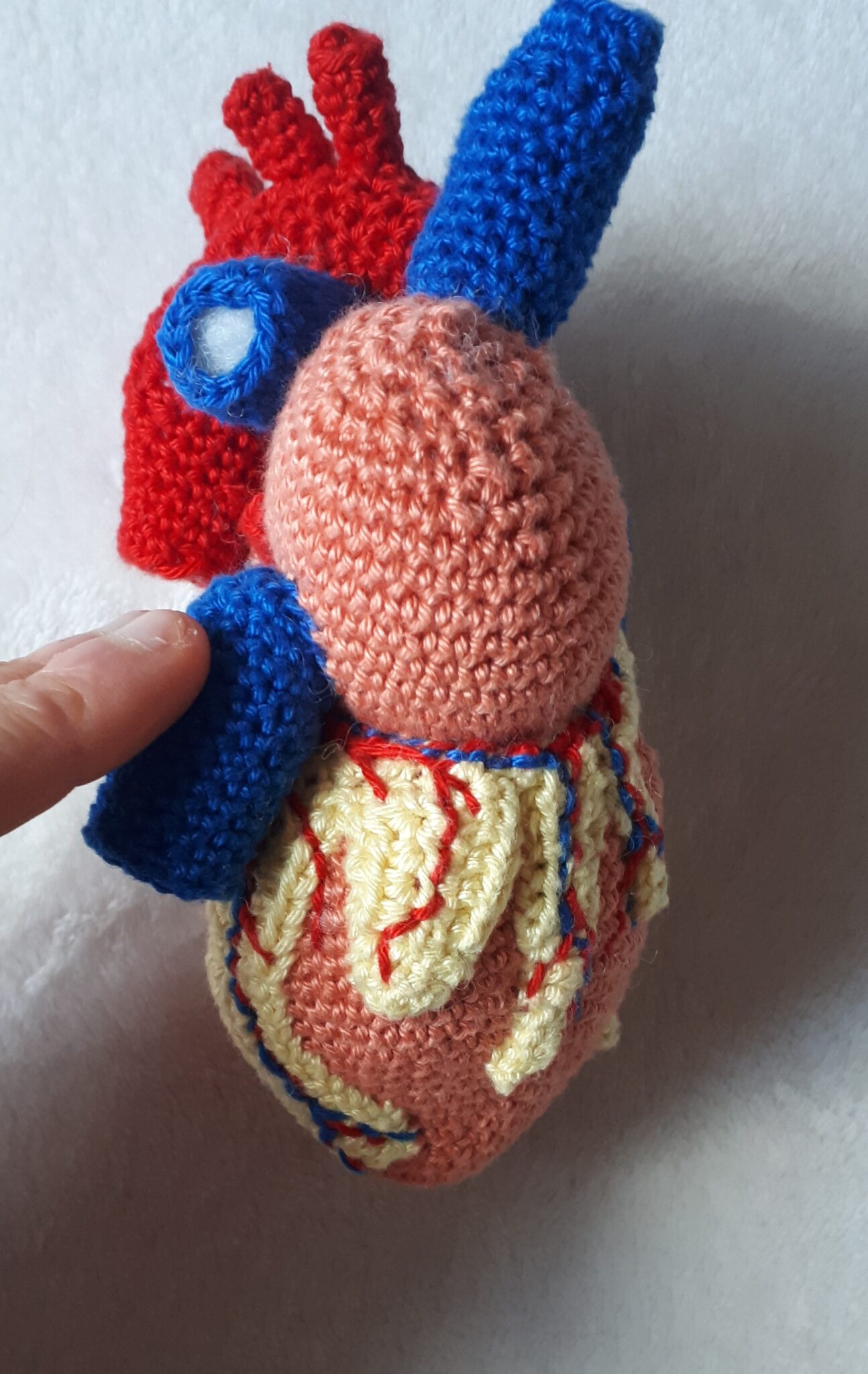 Anatomisch Hart Haken | Gratis Haakpatroon | Een Mooi Gebaar