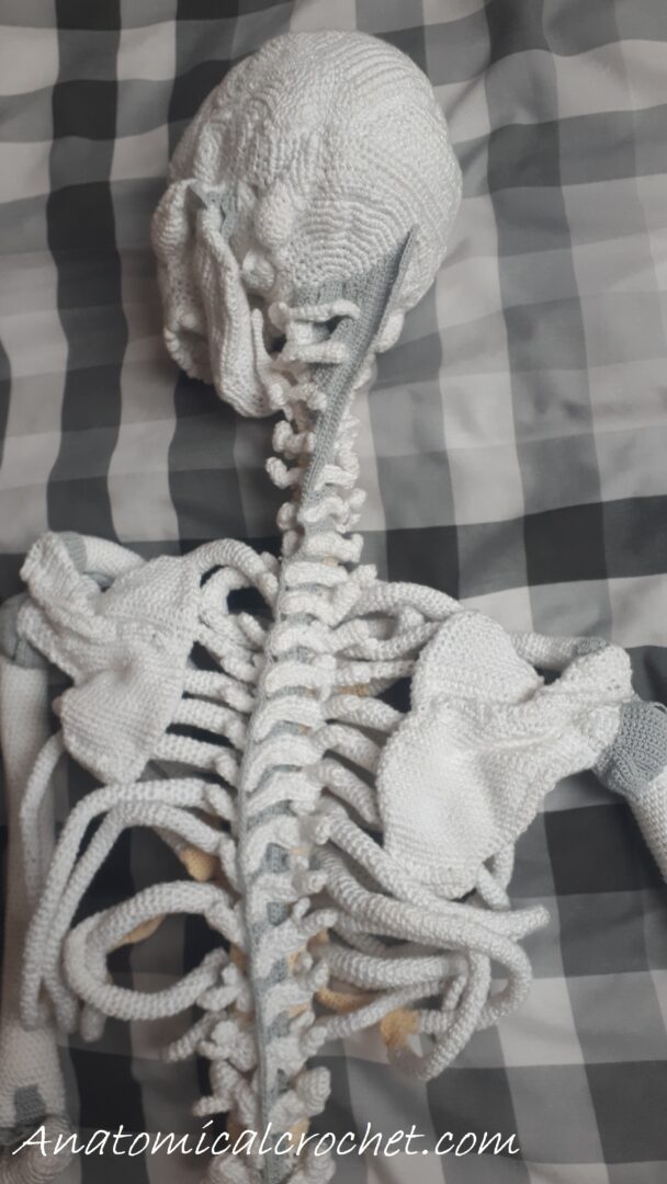 Ruggengraat haken | Deel 12 Anatomical Crochet | Een Mooi Gebaar