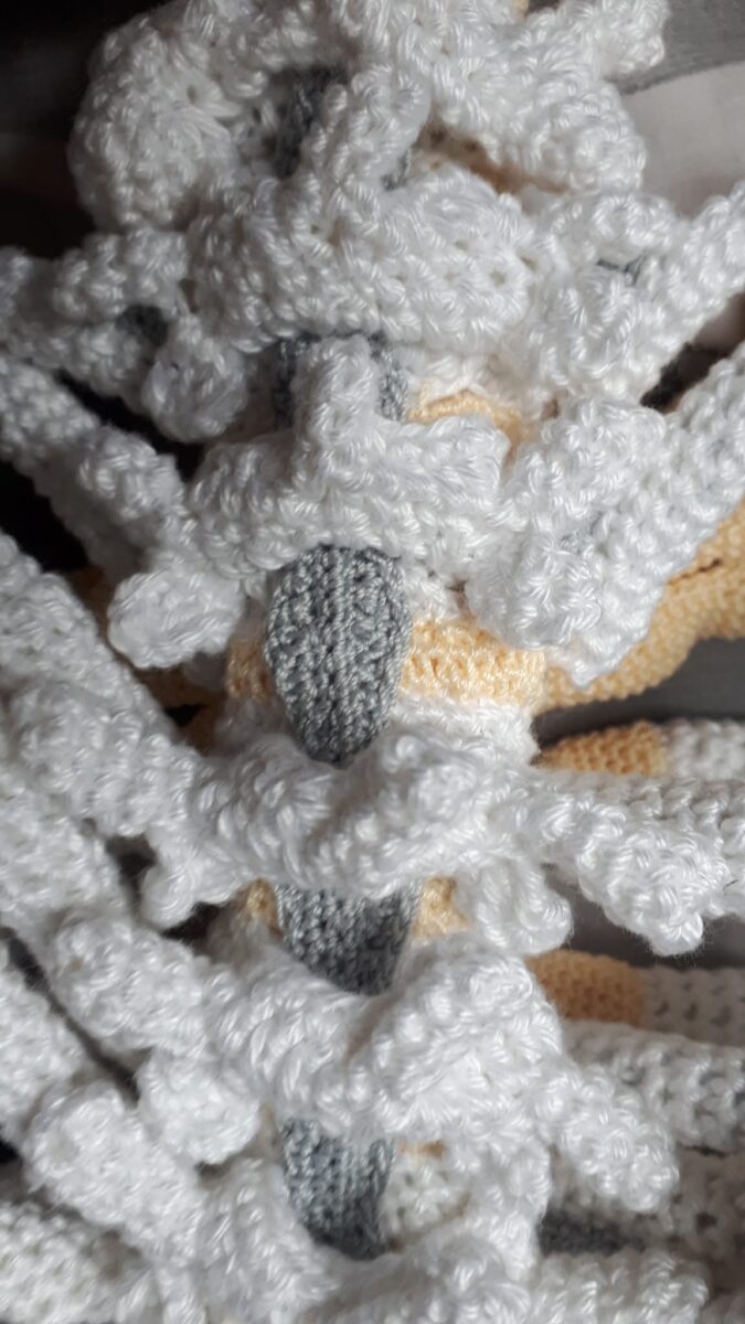 Ruggengraat aan schedel maken | Een Mooi Gebaar