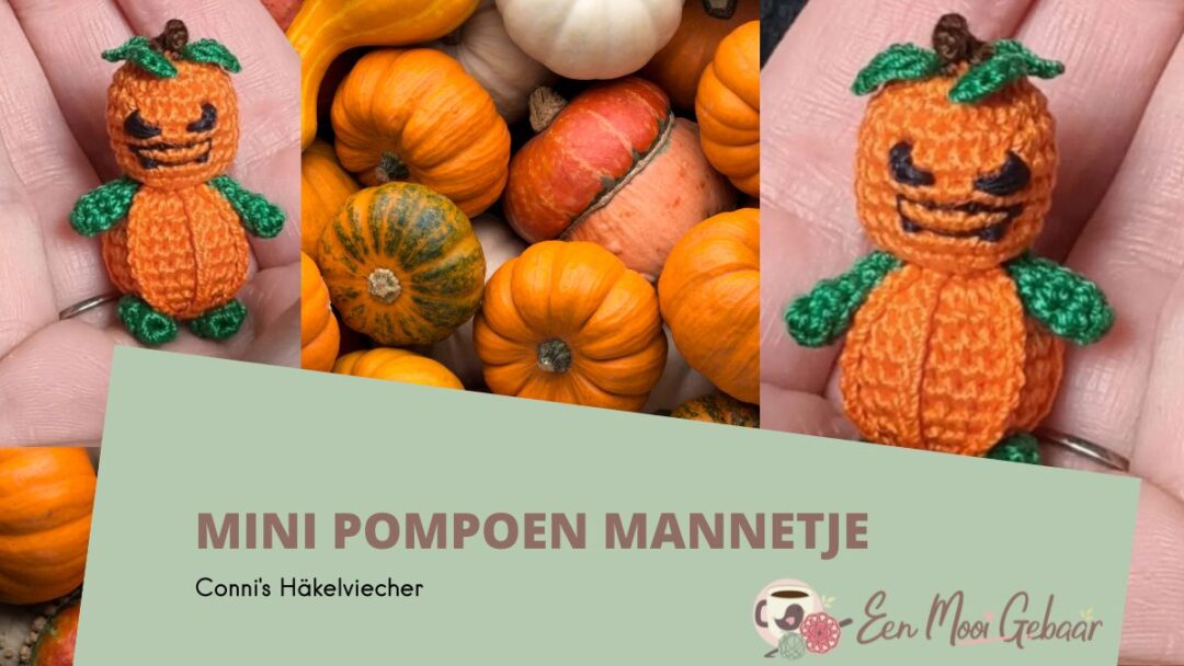 Mini Pompoen Mannetje | Een Mooi Gebaar