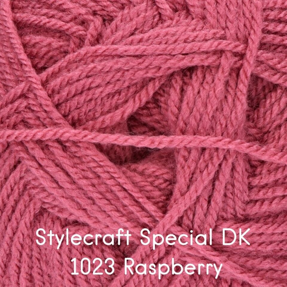 Stylecraft Special DK | Een Mooi Gebaar