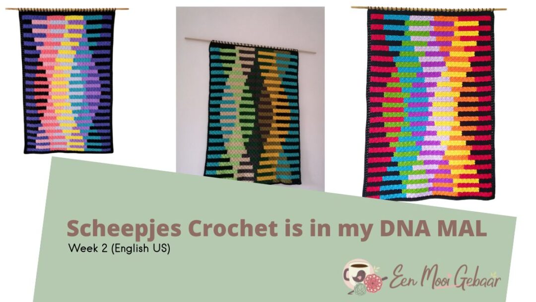 Scheepjes Crochet in my DNA - Week 2 - (English US) | Een Mooi Gebaar